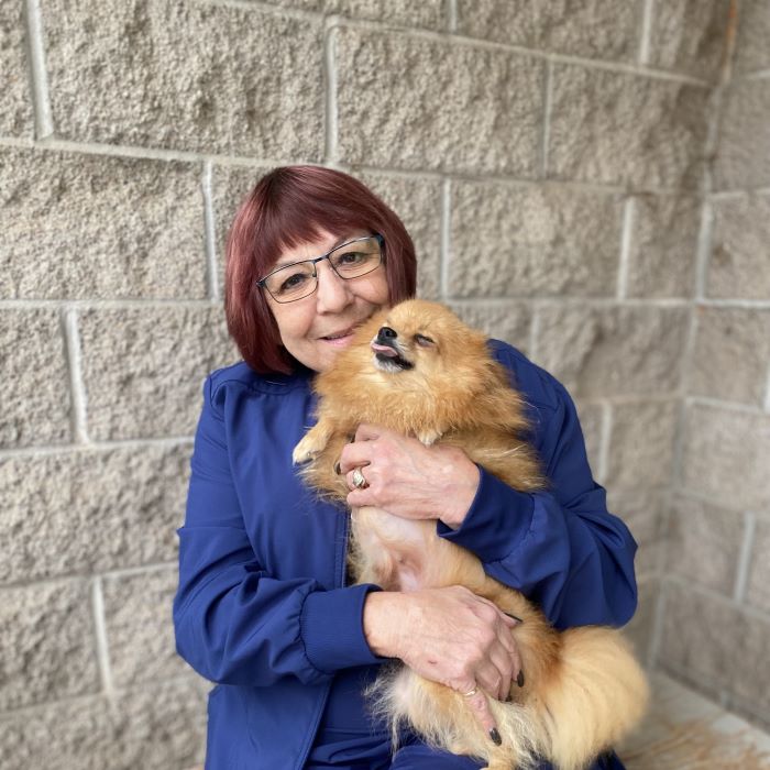 Meet The Team | Thunderbird Veterinary Hospital