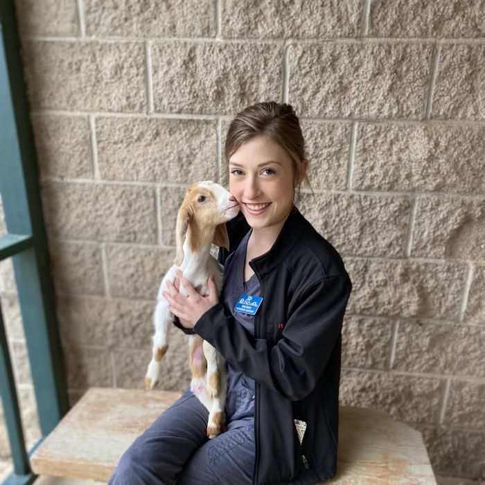 Meet The Team | Thunderbird Veterinary Hospital